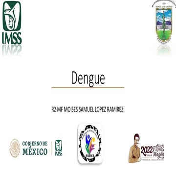 DENGUE principal información básico universal | PPTX