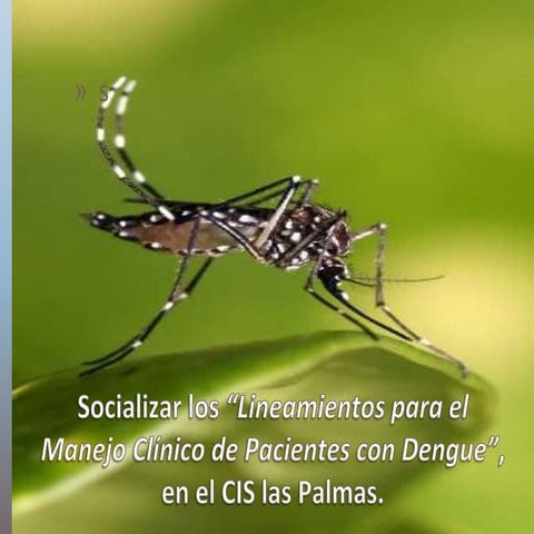 Manejo clinico de pacientes con dengue.pptx