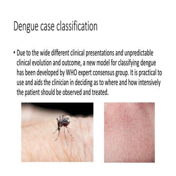 Dengue-case-classification-Vector-Borne-Ilness.pptx | Infectious ...