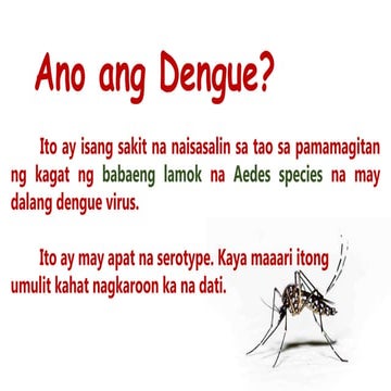dengue-lay-forum.pptx