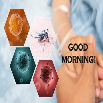 Dengue Fever Lay Forum Lecture Community 2024 Ppt