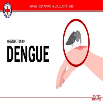 Dengue awareness and management presentation | PDF
