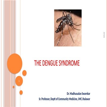 Dengue fever presentation | PPTX