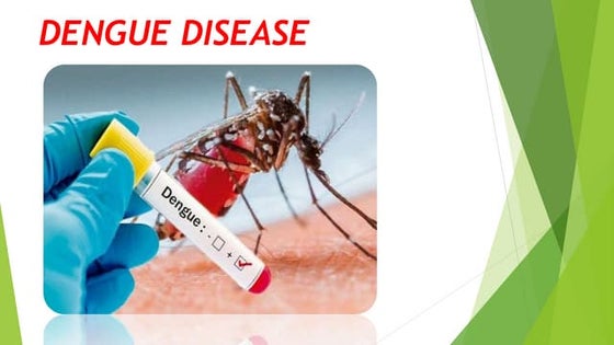 Dengue virus | PPT | Infectious Diseases | Diseases and Conditions