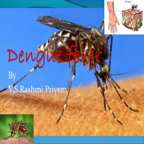 Dengue Fever | PPT | Infectious Diseases | Diseases and Conditions