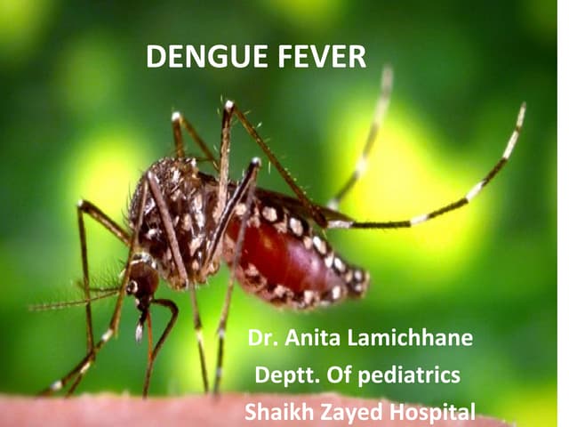 Prevention and control of dengue fever | PPTX