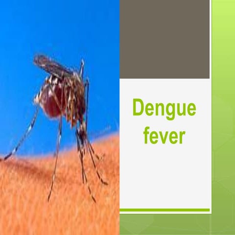 Dengue fever ppt | PPTX