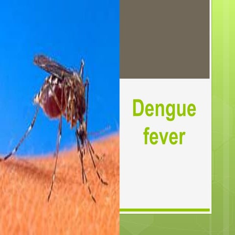 Dengue fever | PPTX