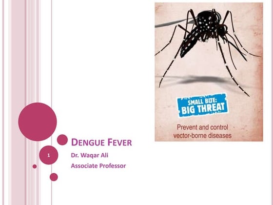 Cpm15th dengue fever_doh | PDF | Infectious Diseases | Diseases and Conditions