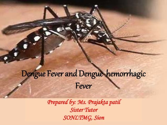 Dengue sign and symptoms | PPTX