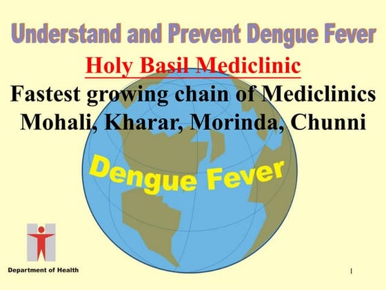 Take Care with The Dengue | PPT