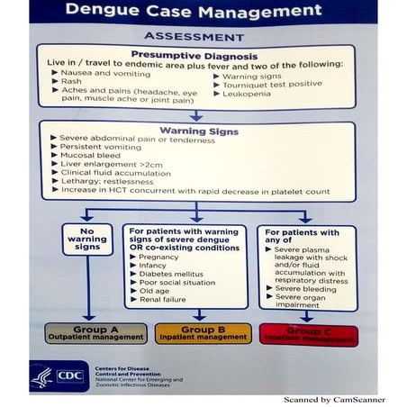 Dengue fever guidelines therapy | PDF
