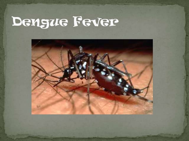 Prevention and control of dengue fever | PPTX