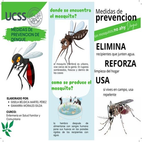 elaboracion de triptico de prevencion de dengue | PDF