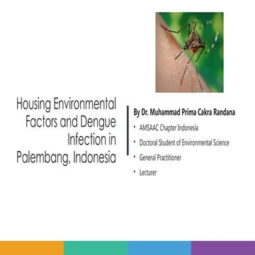 Dengue Infection and Environment in Palembang.pptx