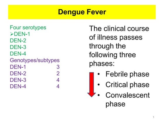 dengue.pptx..diagnosis and treatment of dengue | PPT