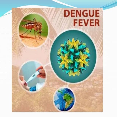 Dengue presentation.pptx