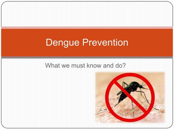 Take Care with The Dengue | PPT