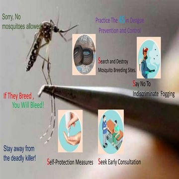 DENGUE PREVENTION! | PPT