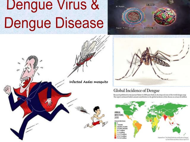 Dengue hemorrhagic fever | PPT