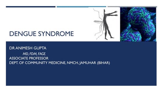 Dengue fever summary | PPT