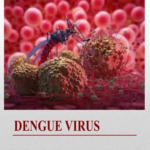 DENGUE VIRUS, epidemiology, pathogenesis.pdf