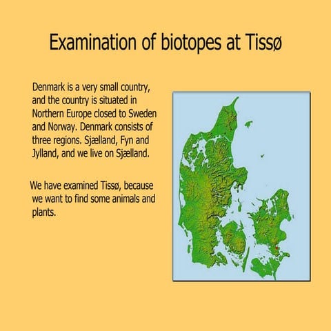 Denmark Tisso | PPT