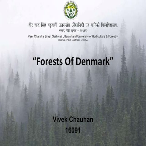 Denmark forests: An Insight. | PPT