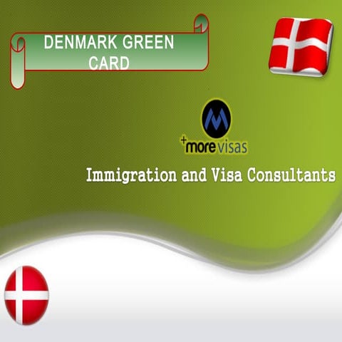 MoreVisas Travel Visa Services | PDF