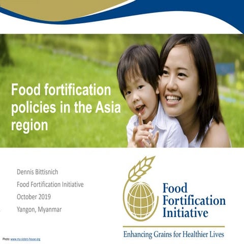 Food Fortification Policies in the Asia Region | PDF