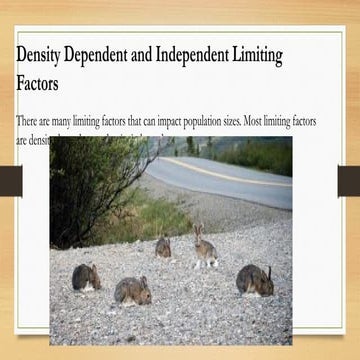 Laws of limiting factors | PPTX