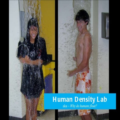 Why Do Humans Float? Human Density Lab | PPT