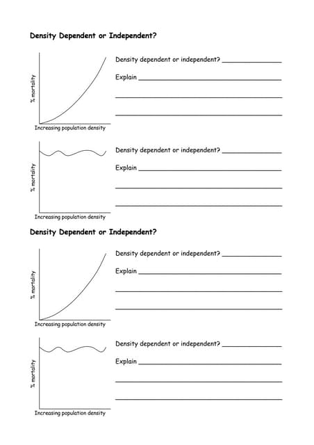 EduBuzz The Header Image | DOC
