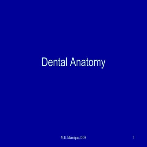 Dental Anatomy | PPT