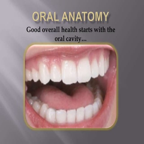Oral Anatomy | PPTX