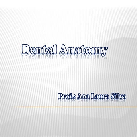 Introduction to Dental Anatomy | PDF
