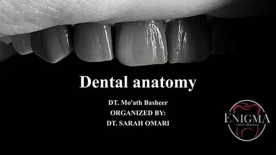 Tooth Anatomy Ppt Free Anatomy PowerPoint Templates & Google Slides