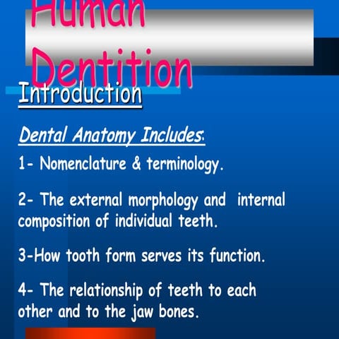Introduction to Dental Anatomy | PDF