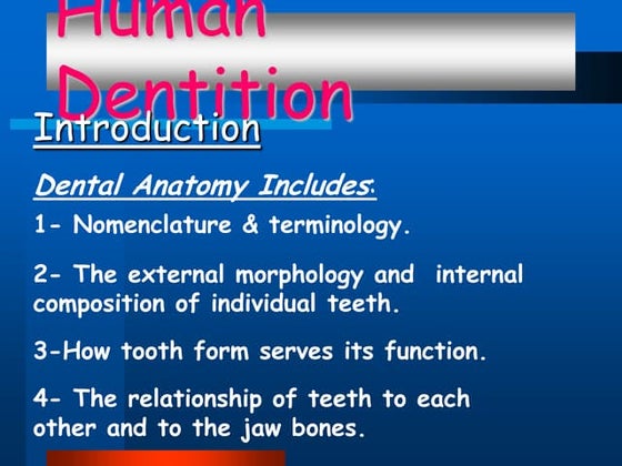 Introduction To Dental Anatomy Introduction To Dental Anatomy And