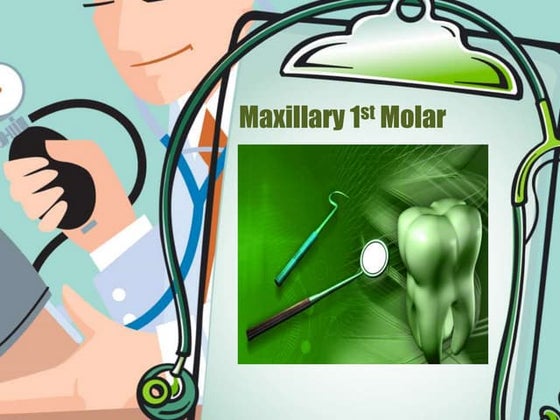 Maxillary molars Dental Anatomy | PPTX | Dental Health | Diseases and ...