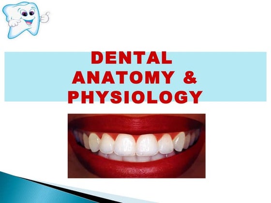 Teeth structure and cavities | PPT