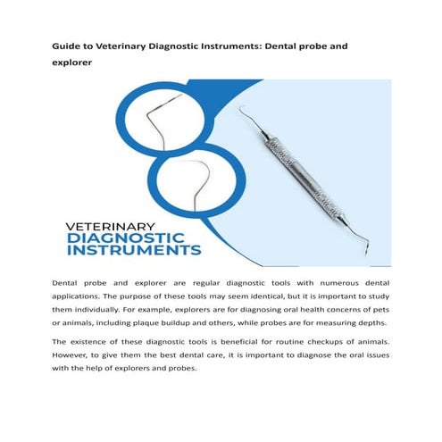 dental probe and explorer.docx.pdf