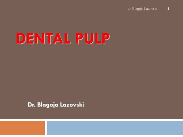 Anatomy of pulp chamber | PPTX