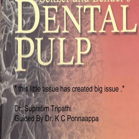 Nerve supply of teeth dental histology dental anatomy.pptx