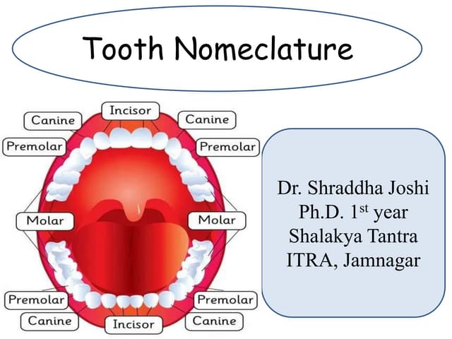 Dental charting, Cavity Classification, Basic Charting Terms | PPTX