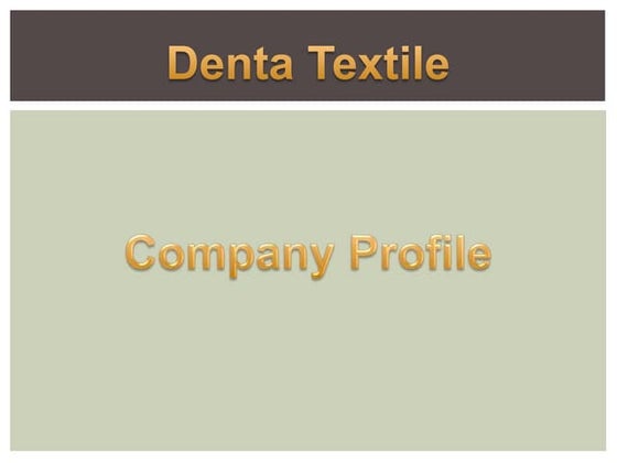 Company Profile-ZBP | PDF