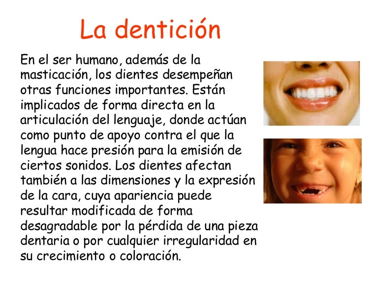 Denticion 091228185555-phpapp01