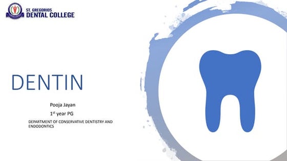 Dentinogenesis | PPT | Dental Health | Diseases and Conditions