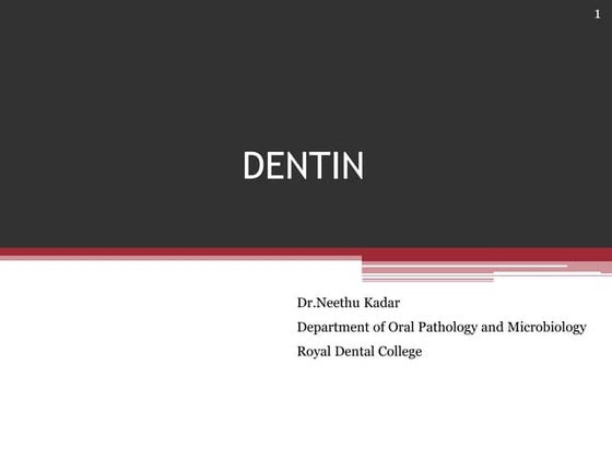 Histology of dentin | PPT | Dental Health | Diseases and Conditions