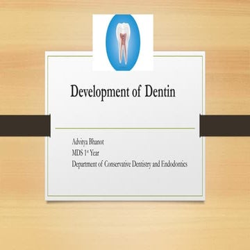 Dentin- Development of tooth and dentin .pptx